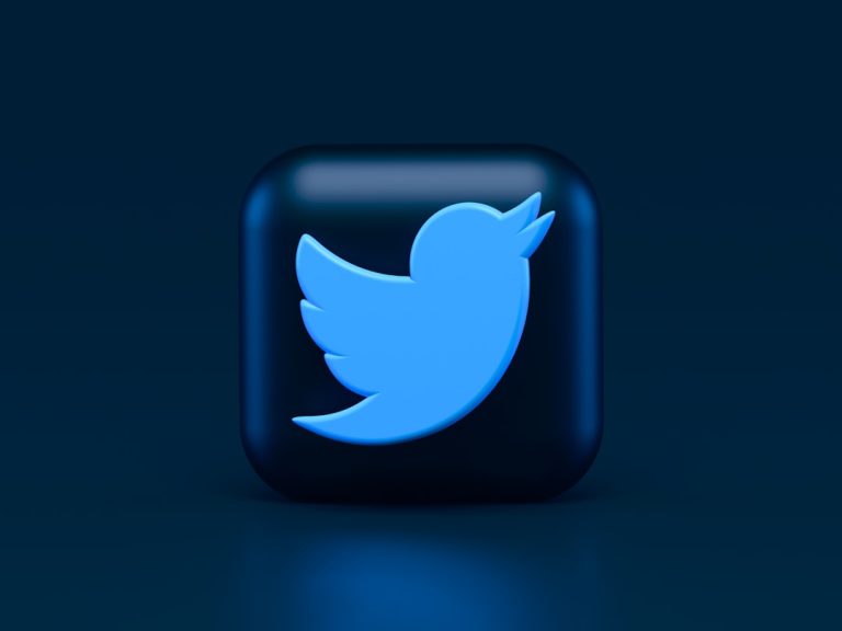 How to Change Your Username and Display Name on Twitter from Any Device ...