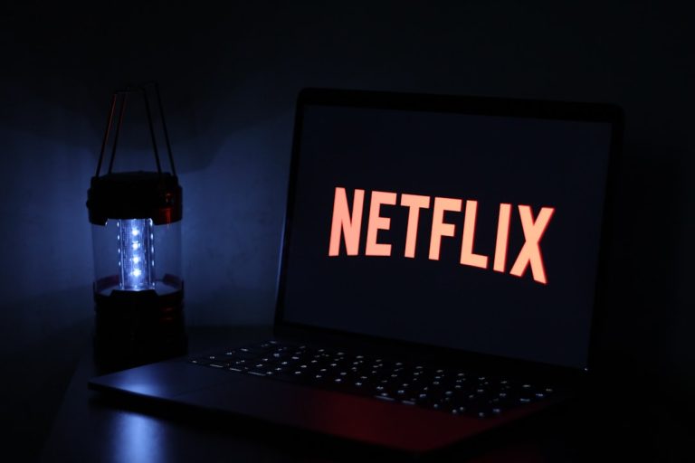 Why is there no download button on Netflix? - WP Captcha
